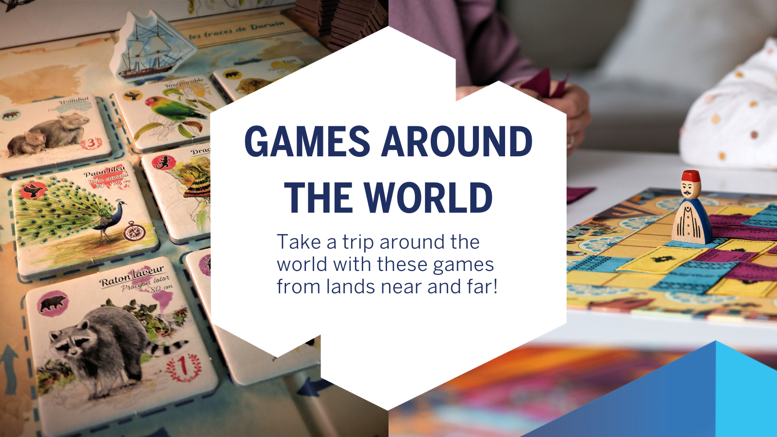 Collections – Hachette Boardgames US