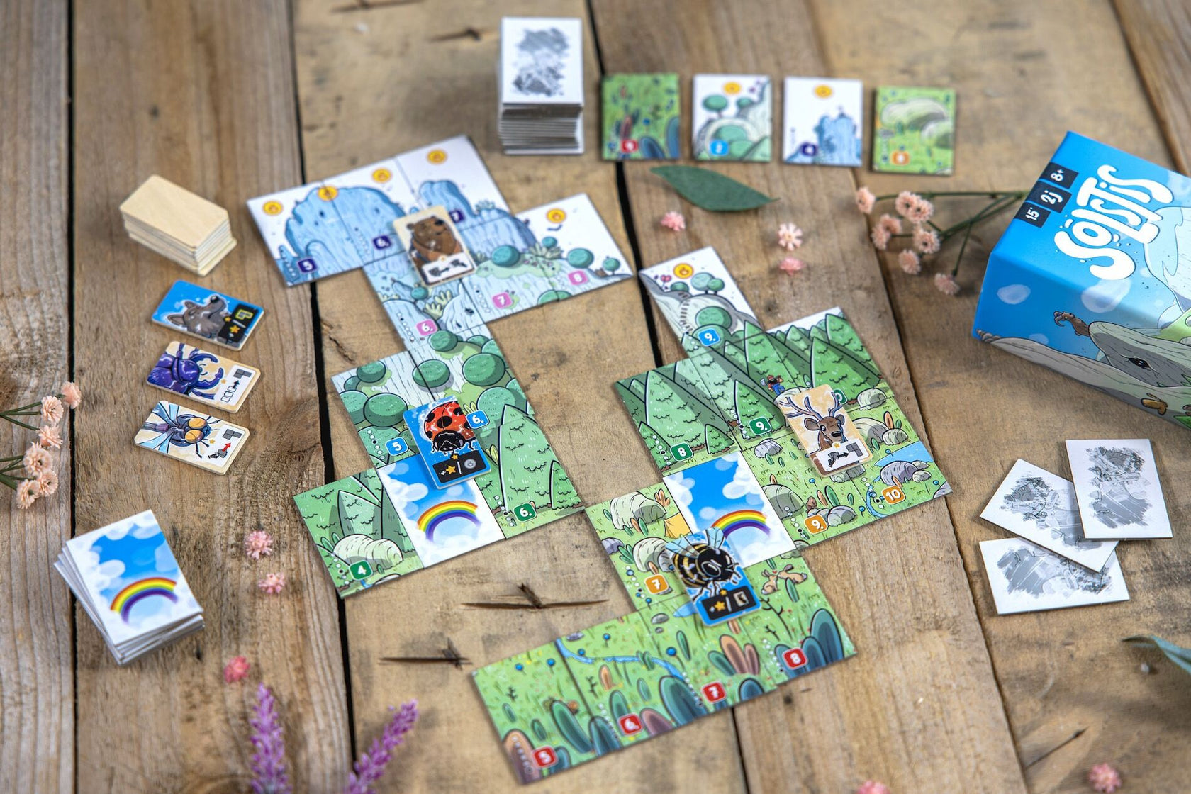 Solstis – Hachette Boardgames US